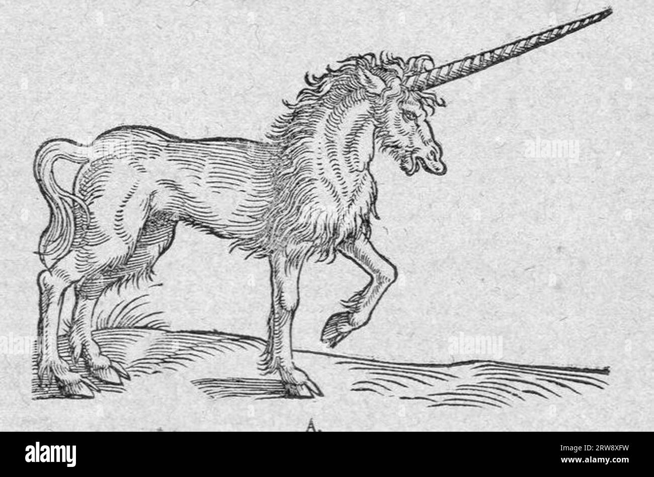 Conradi Black and White Stock Photos & Images - Alamy