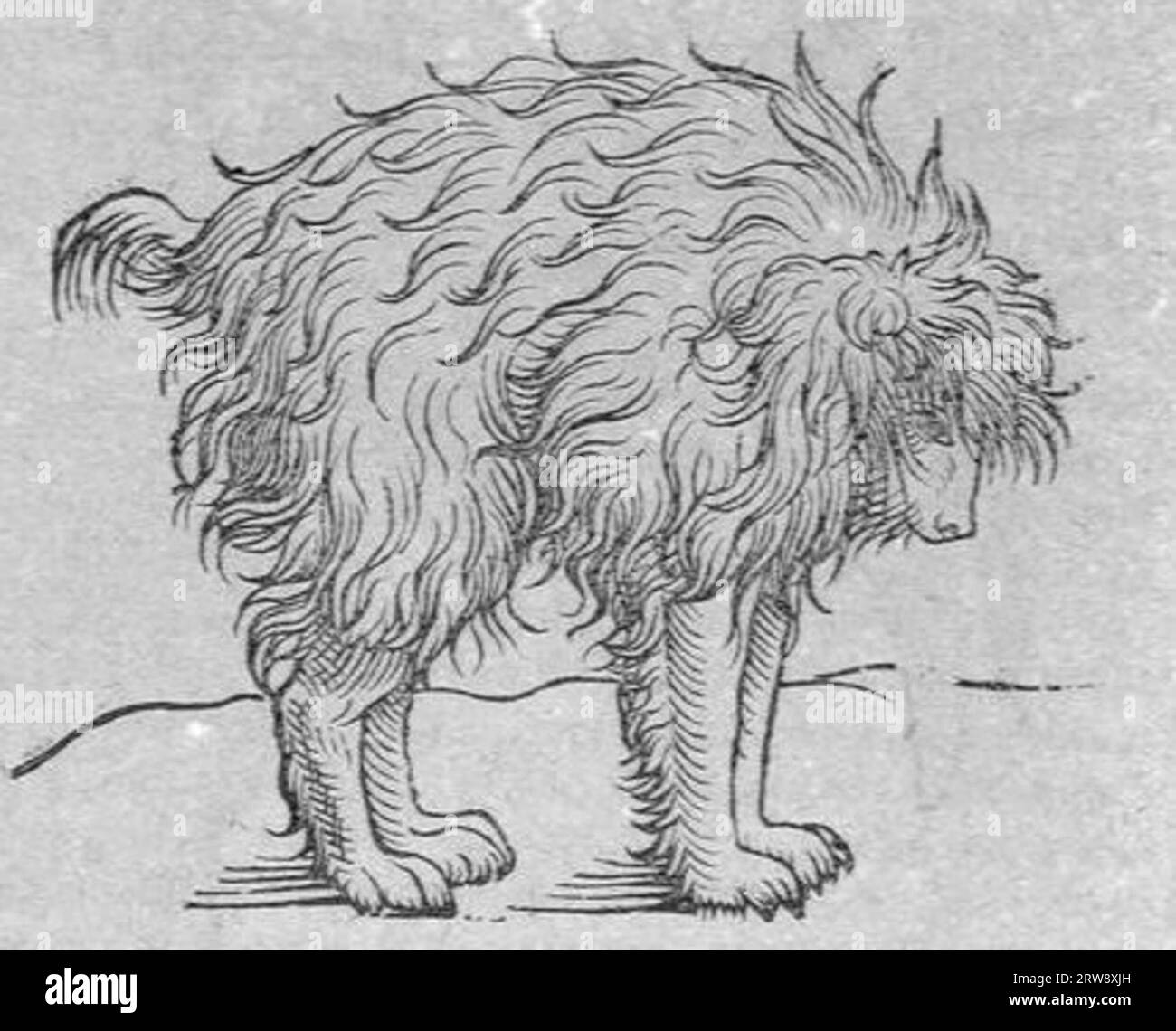 Conradi Black and White Stock Photos & Images - Alamy