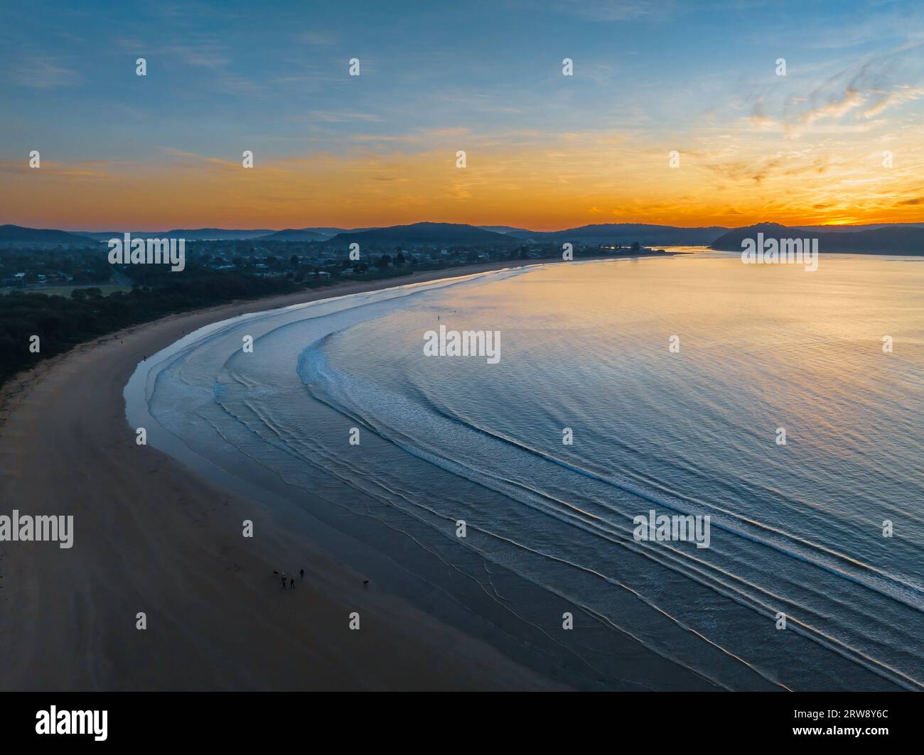 Umina beach dog hi-res stock photography and images - Alamy