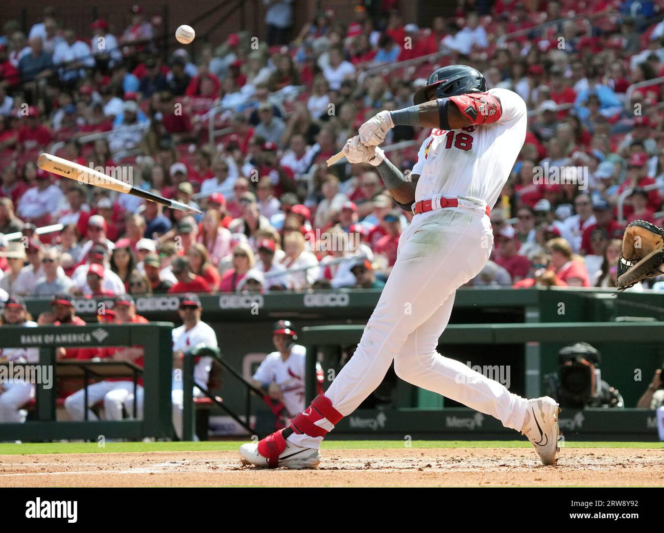 St. Louis, United States. 21st Sep, 2023. St. Louis Cardinals Jordan ...