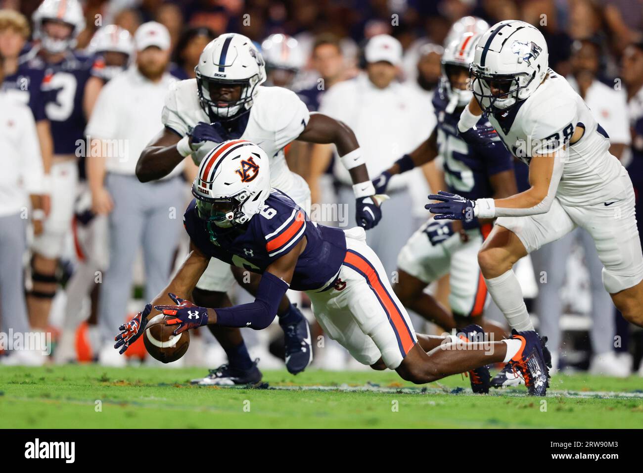 Auburn wide receiver Ja'Varrius Johnson (6) dives on the ball after he ...