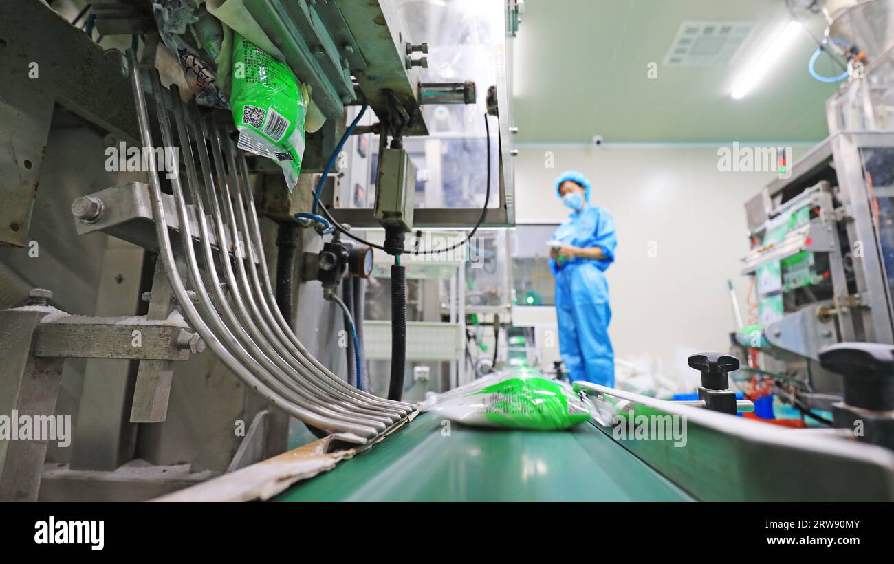 The workers are working hard on the salt production line, North China ...