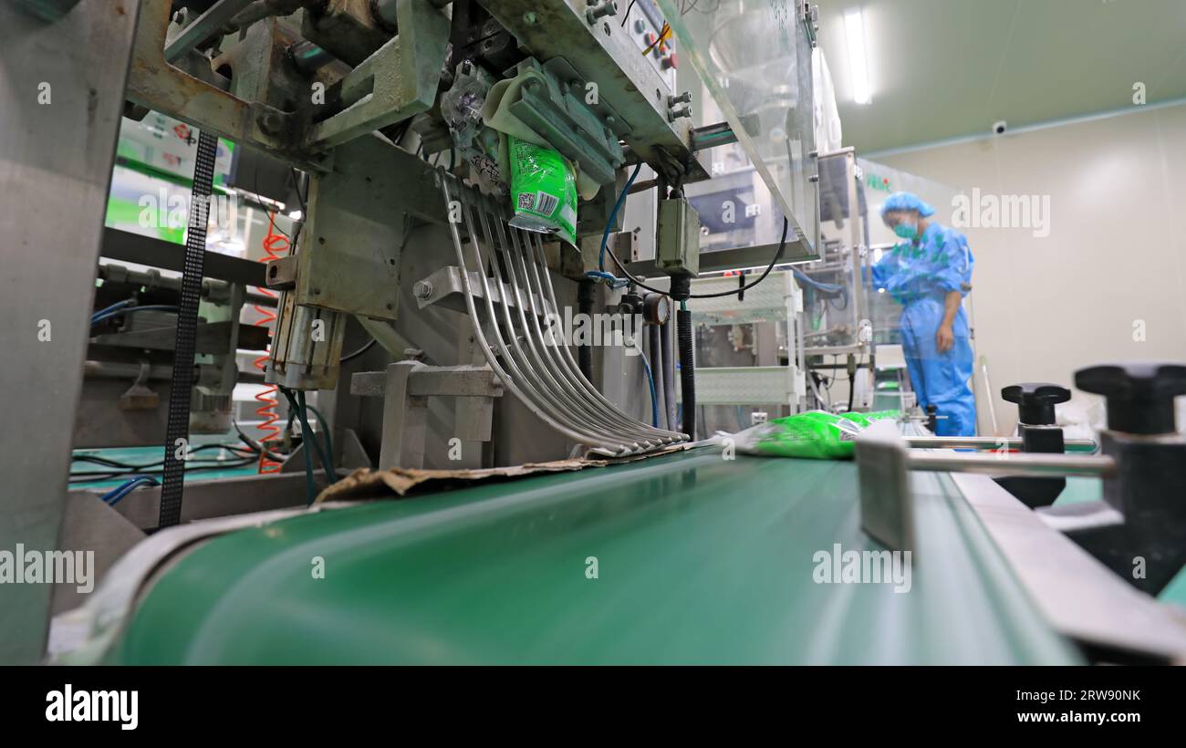 The workers are working hard on the salt production line, North China ...