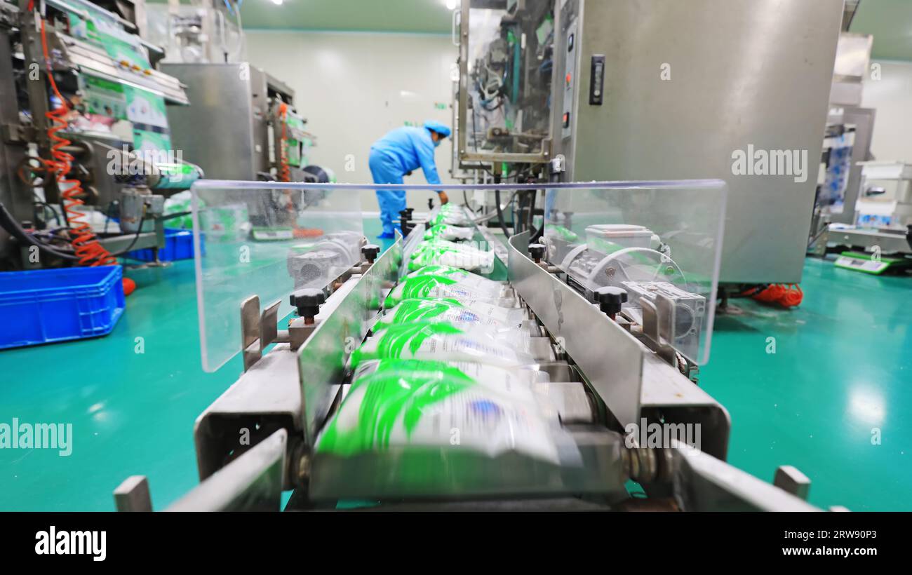 The workers are working hard on the salt production line, North China ...