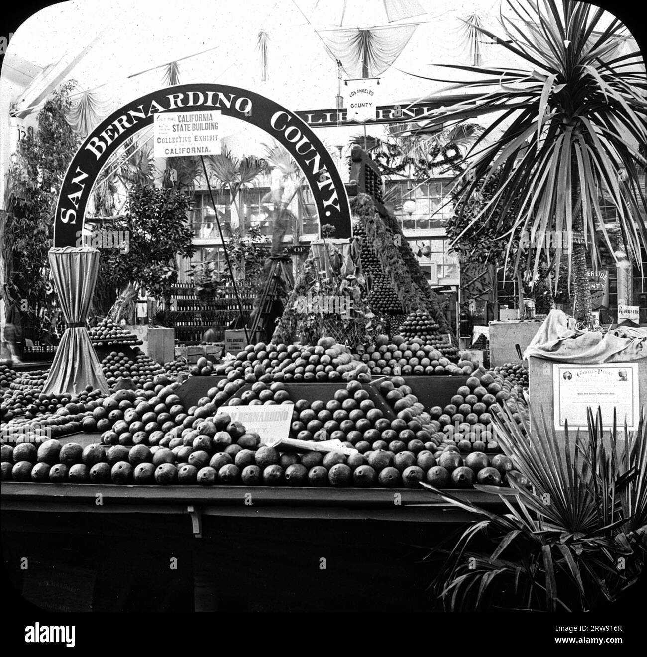 Horticulture exhibit Black and White Stock Photos & Images - Alamy
