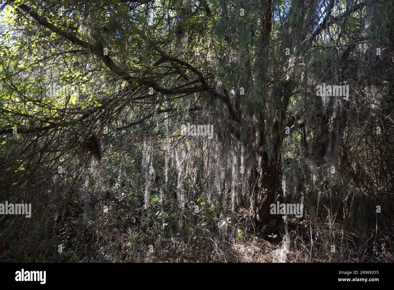 Different touch hi-res stock photography and images - Alamy