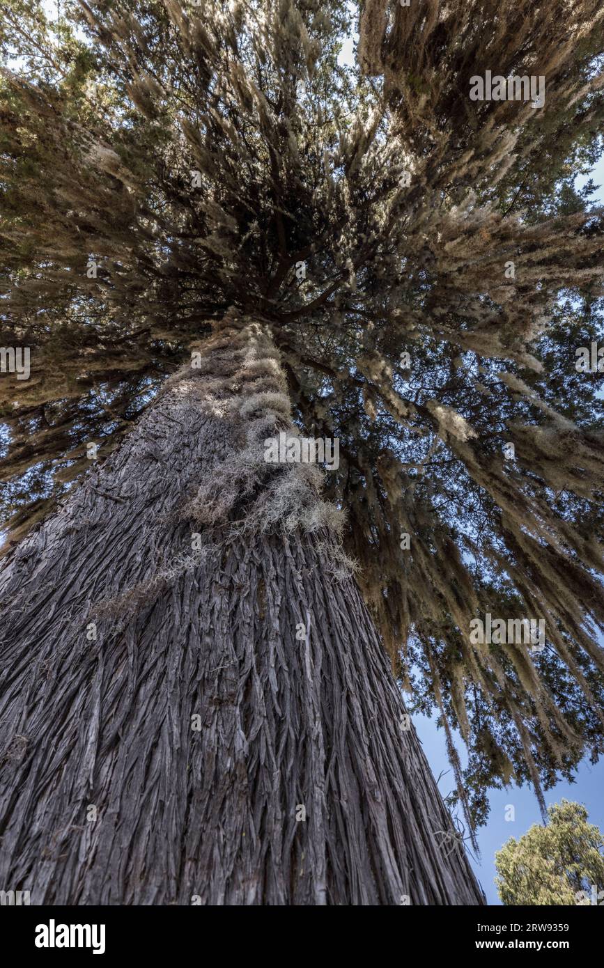 Different texture in different things and places Stock Photo - Alamy