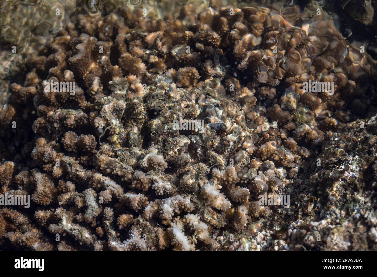 Different texture in different things and places Stock Photo - Alamy