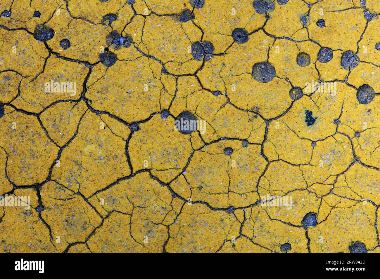 Mottled connection hi-res stock photography and images - Alamy