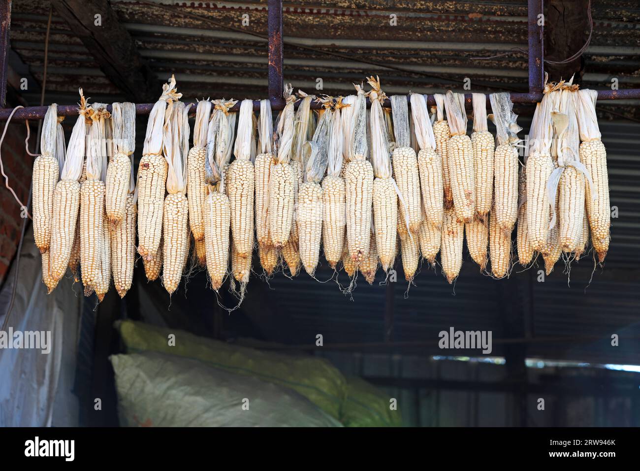 Drying in the shade hi-res stock photography and images - Alamy