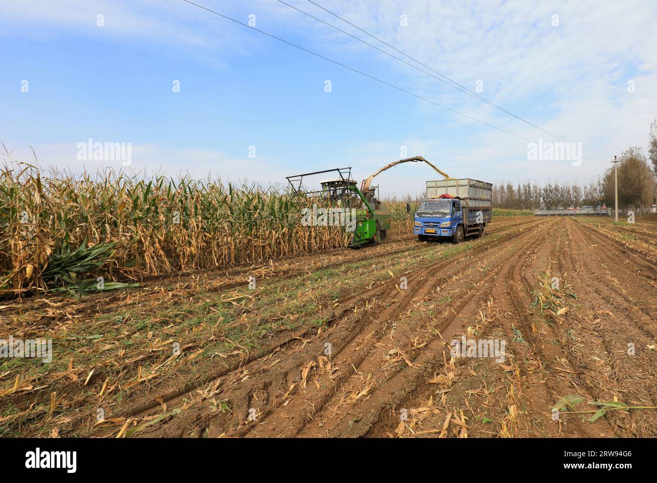 LUANNAN COUNTY, China - October 13, 2021: farmers drive self-propelled ...