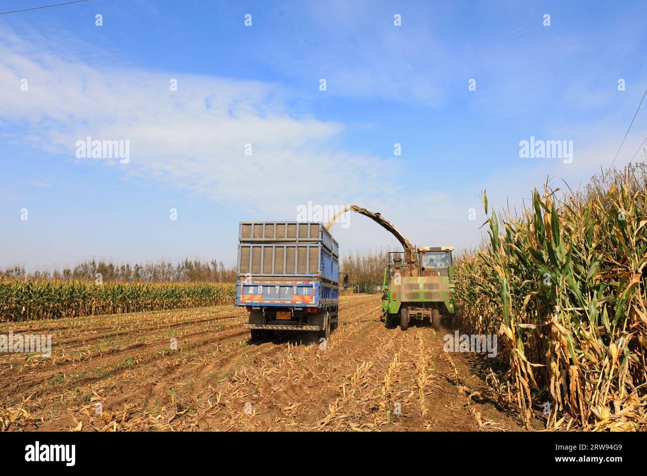 LUANNAN COUNTY, China - October 13, 2021: farmers drive self-propelled ...