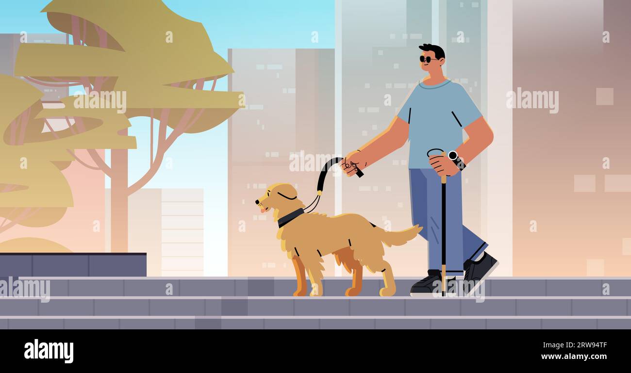 bling man walking with guide dog assistant animal leading male ...