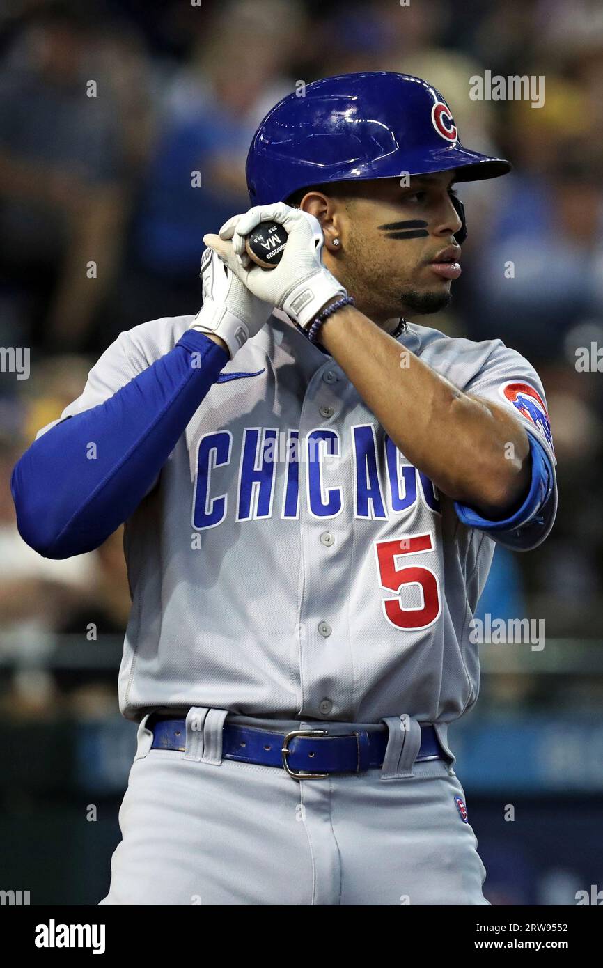 PHOENIX, AZ - SEPTEMBER 17: Chicago Cubs second baseman Christopher ...