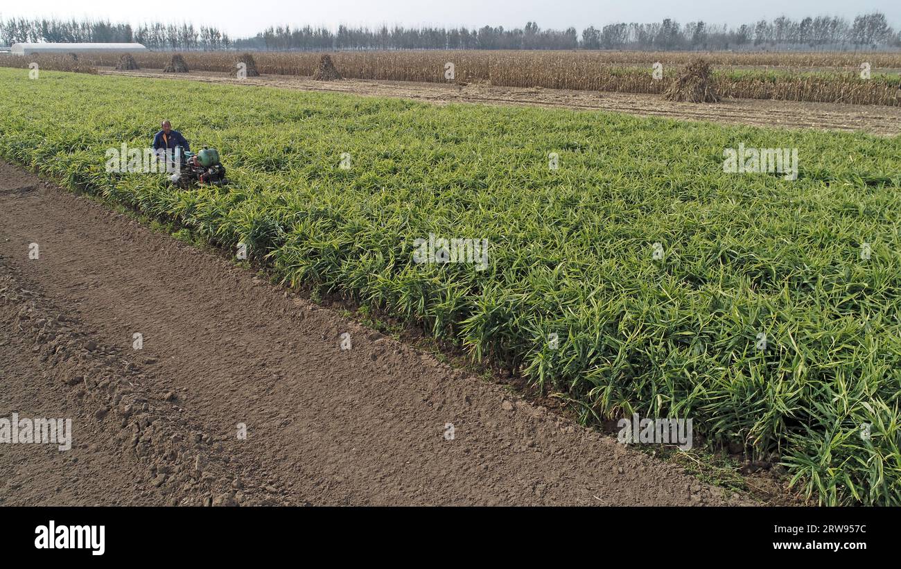 Intensive and large scale hi-res stock photography and images - Alamy