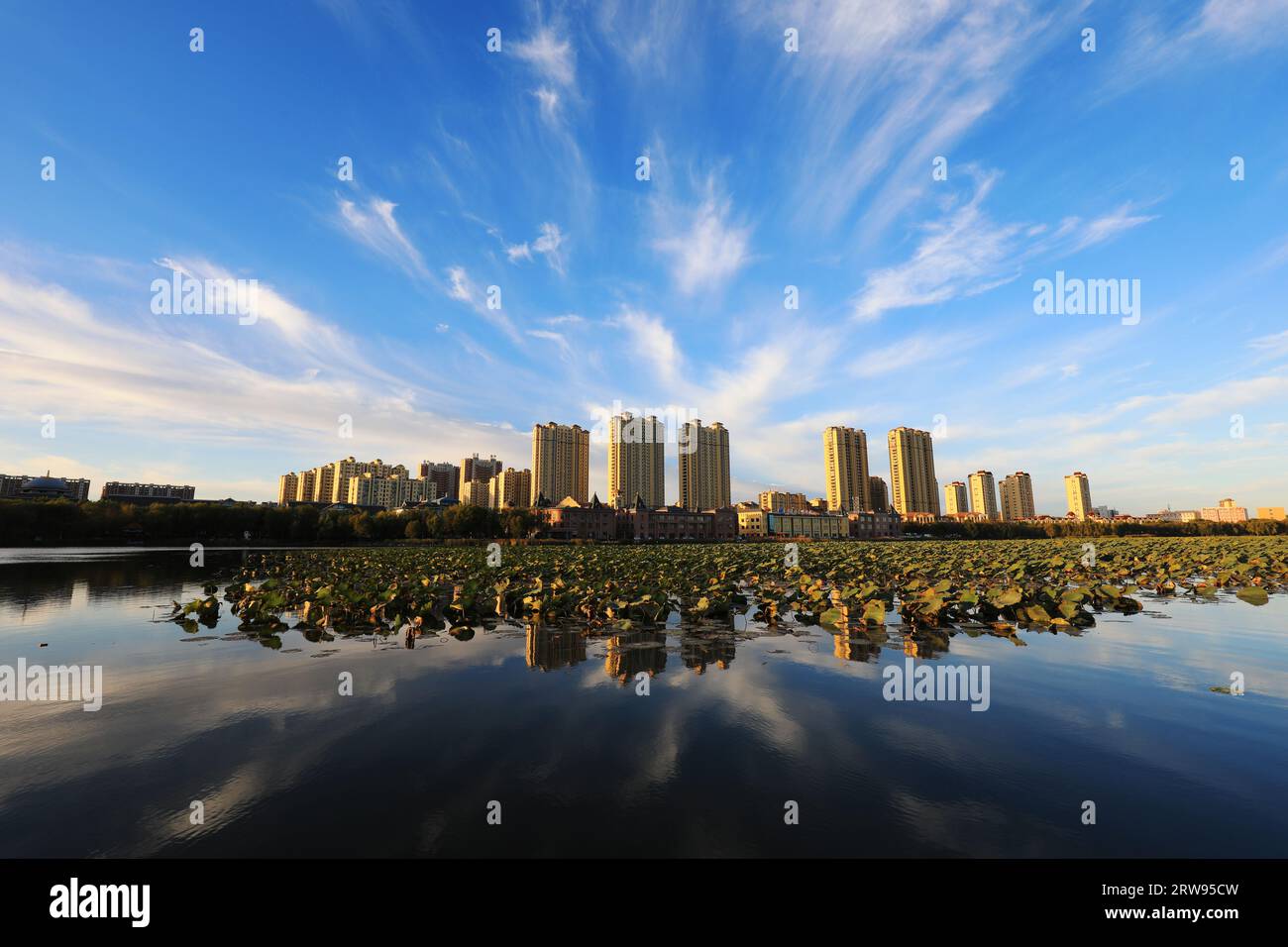 Waterfront City, architectural scenery, North China Stock Photo - Alamy