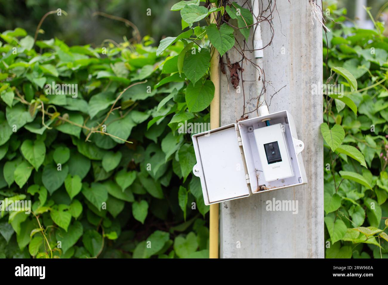 Electrical switch cabinet that is damaged and not ready for use The ...