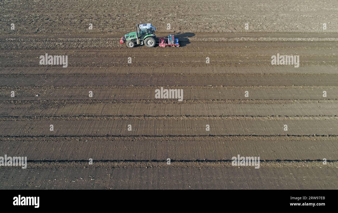Farmers use planters to grow wheat on farms in North China Stock Photo ...