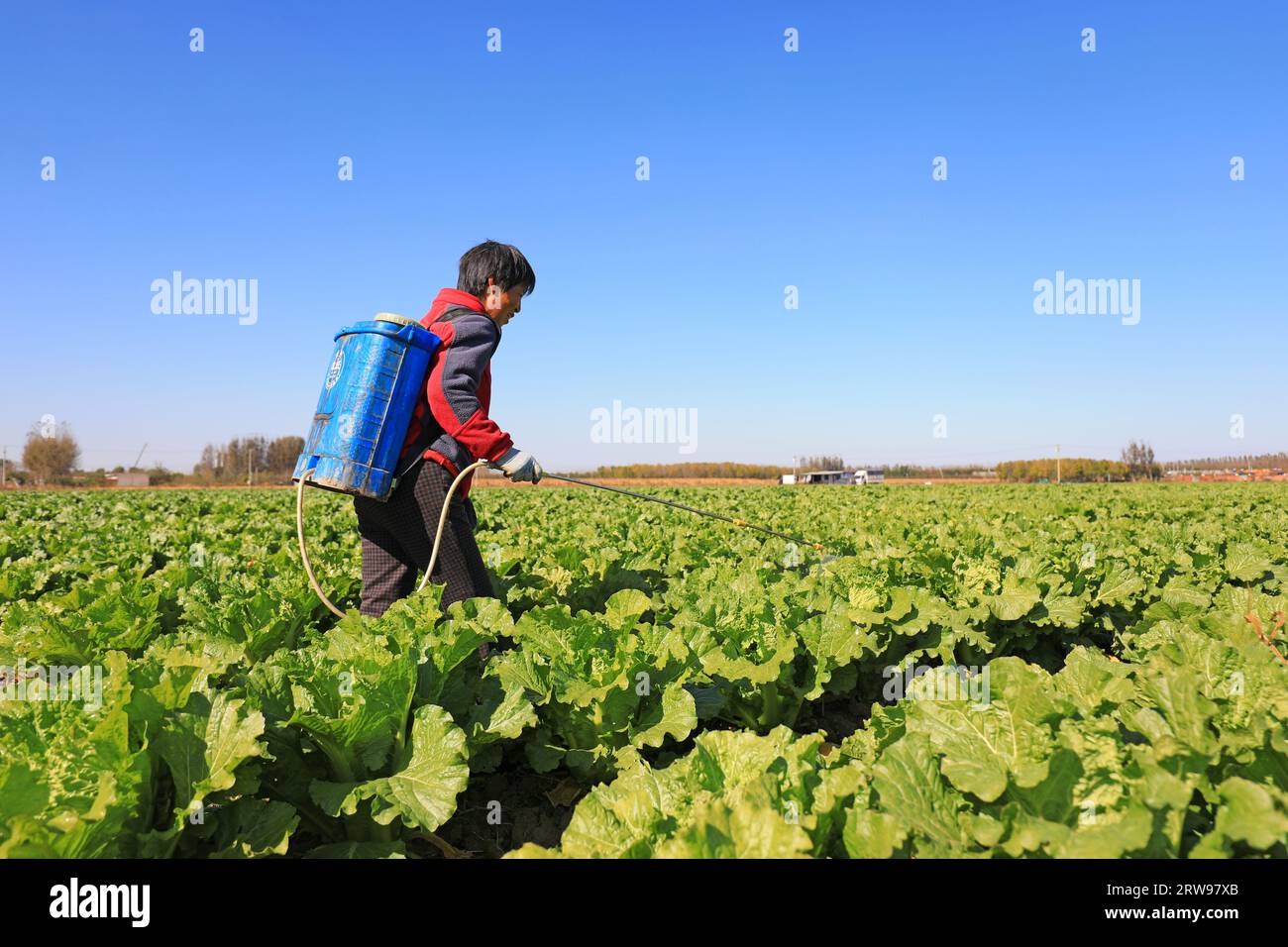 Pests fields hi-res stock photography and images - Alamy