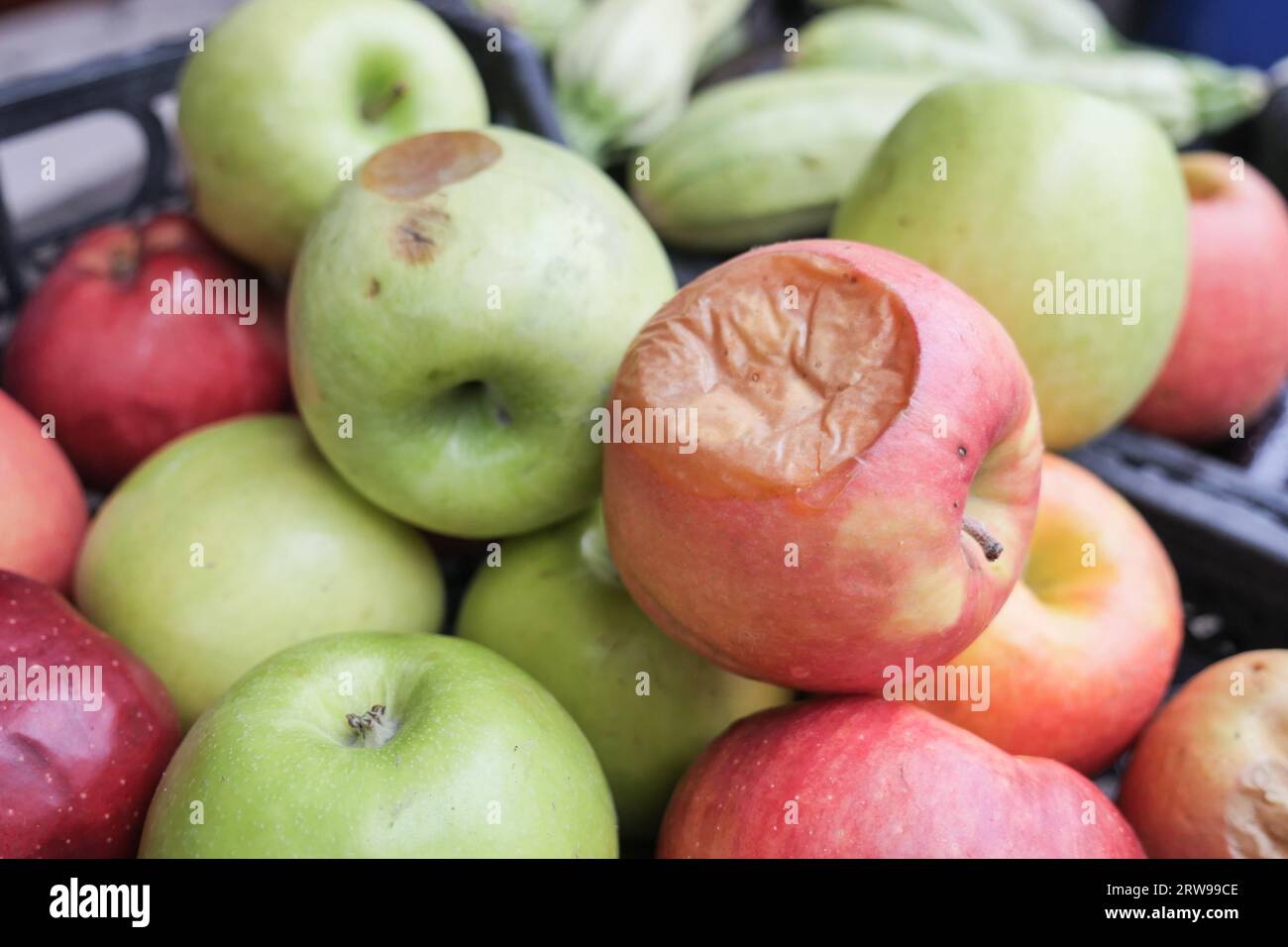 collection with different old damaged food with mold Stock Photo - Alamy