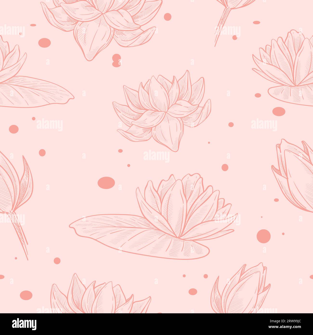Wild lilies flowers on Stock Vector Images - Alamy