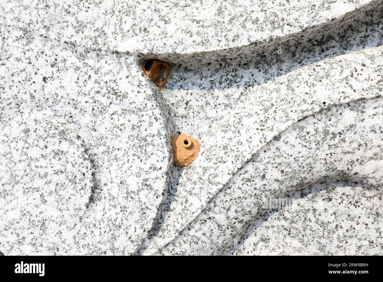 Mud bee nest on stone tools, North China Stock Photo - Alamy