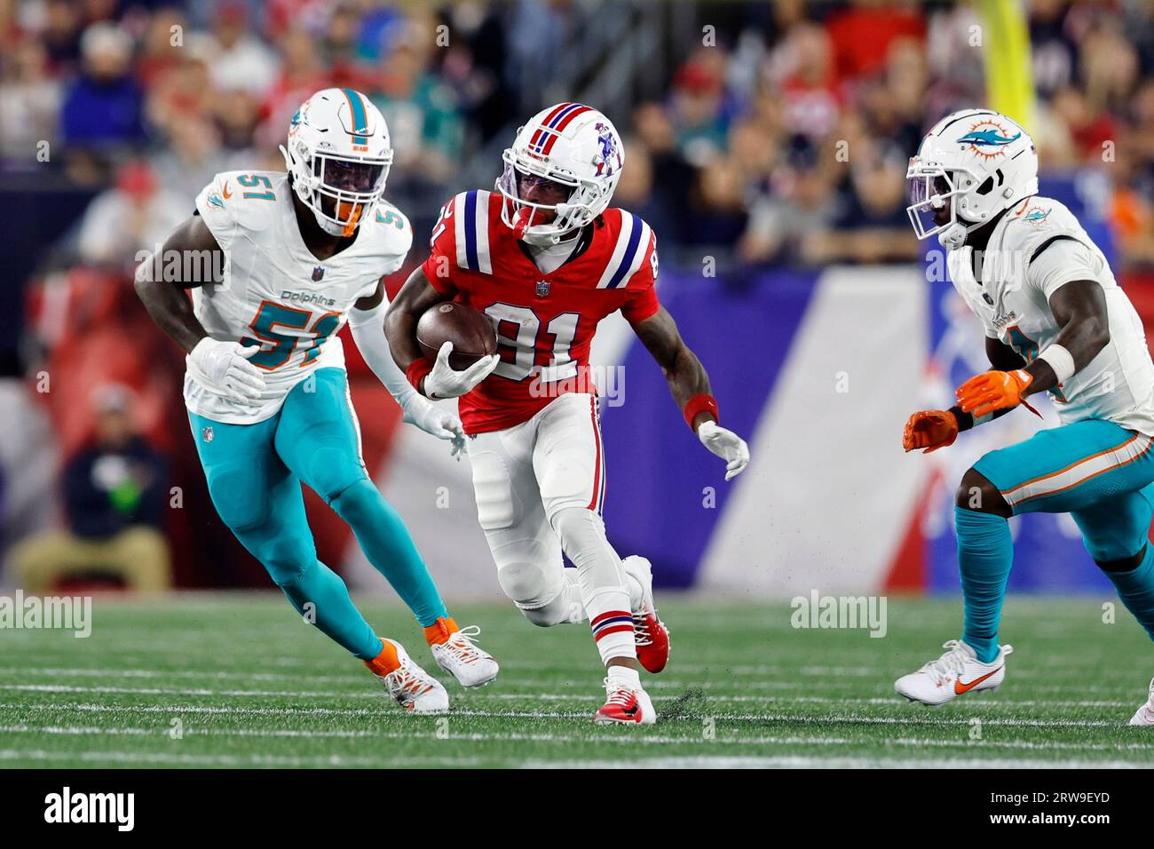 New England Patriots wide receiver Demario Douglas (81) carries the ...