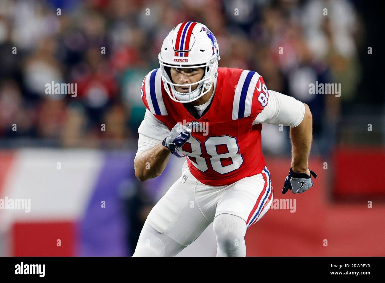 New England Patriots tight end Mike Gesicki plays against the Miami ...