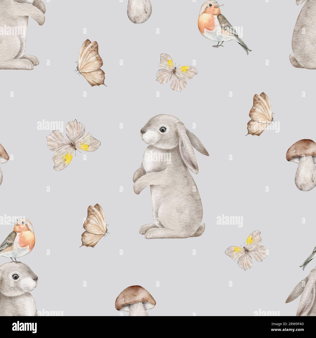 Rainforest Animals Background
