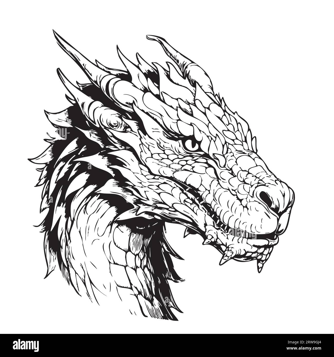 Dragon portrait hand drawn sketch illustration Wild animals Stock ...