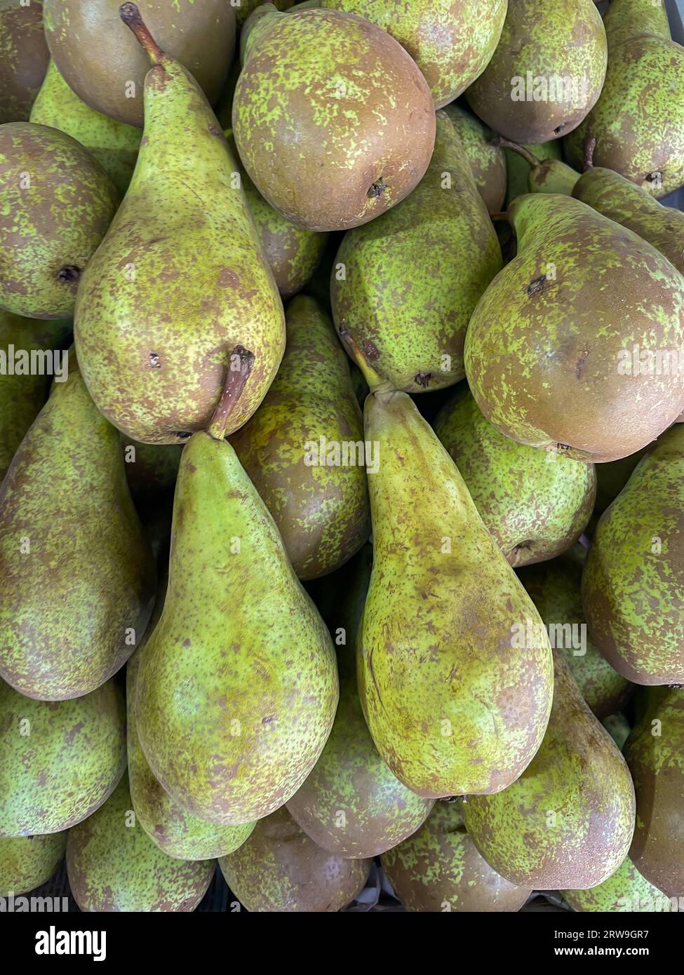 lots of ripe pears fruit food vitamins healthy nutrition as background ...