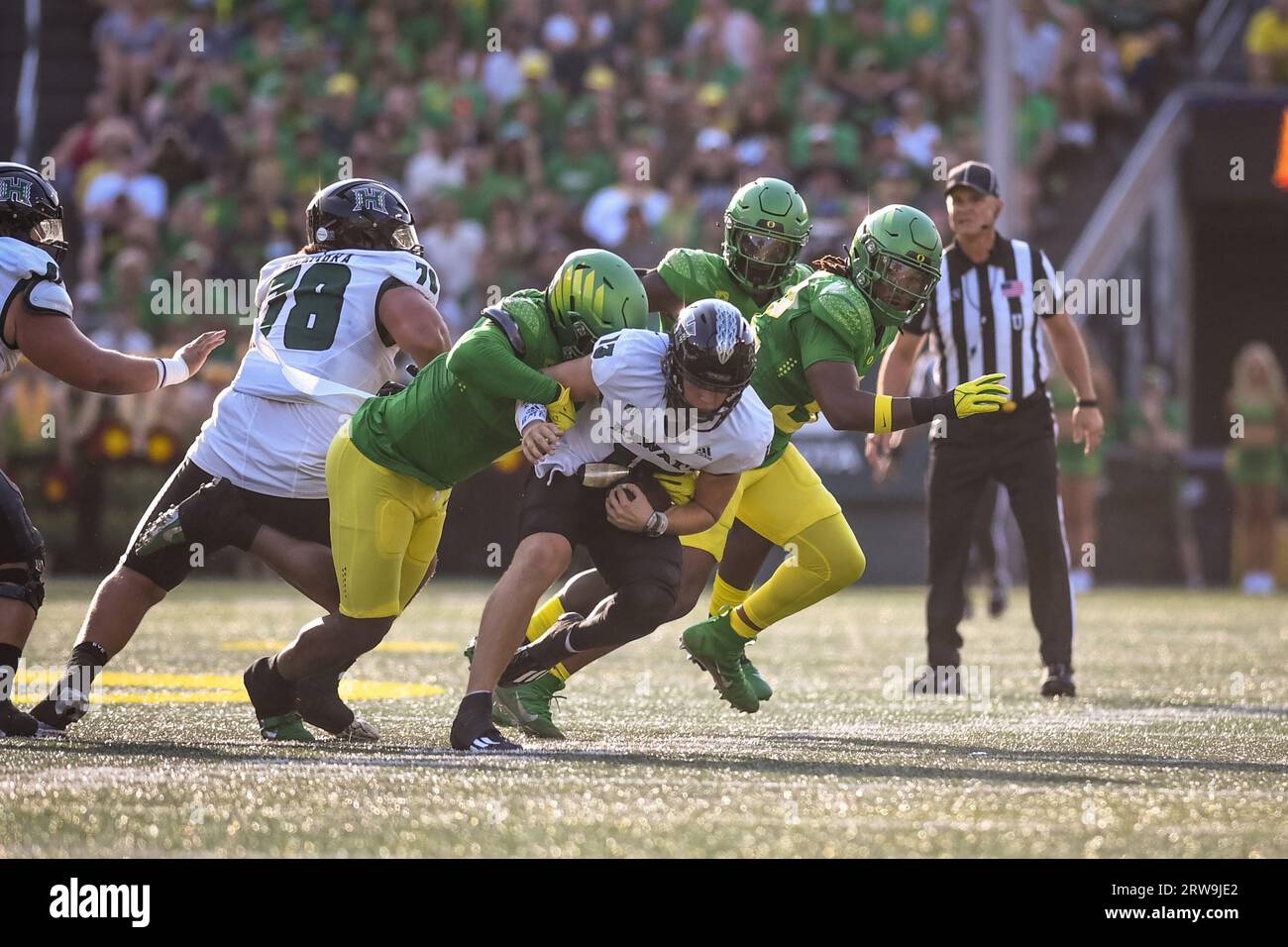 Hawaii warriors football hi-res stock photography and images - Alamy