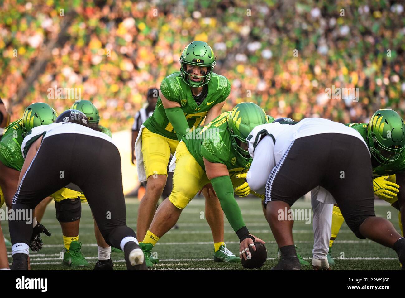 Bo nix oregon hi-res stock photography and images - Alamy