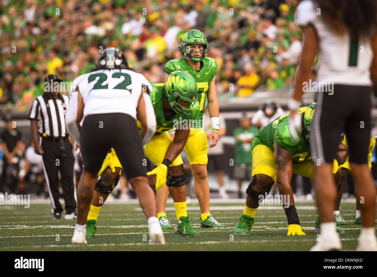 Bo nix oregon hi-res stock photography and images - Alamy