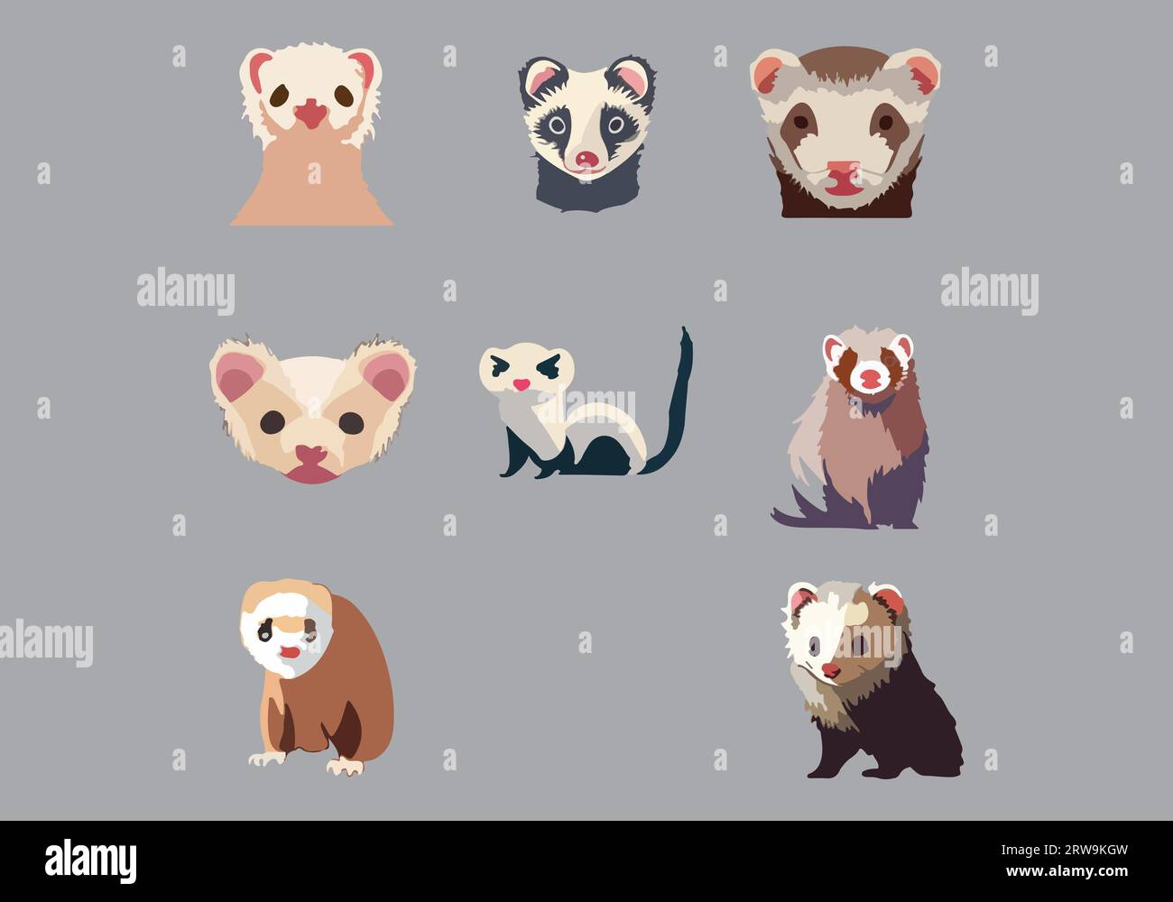 minimal stylish design animal illustration Stock Vector Image & Art - Alamy