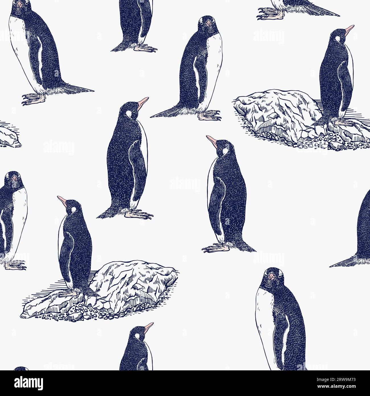 Penguin vector seamless pattern. Cute penguins hand drawn with pen and ...