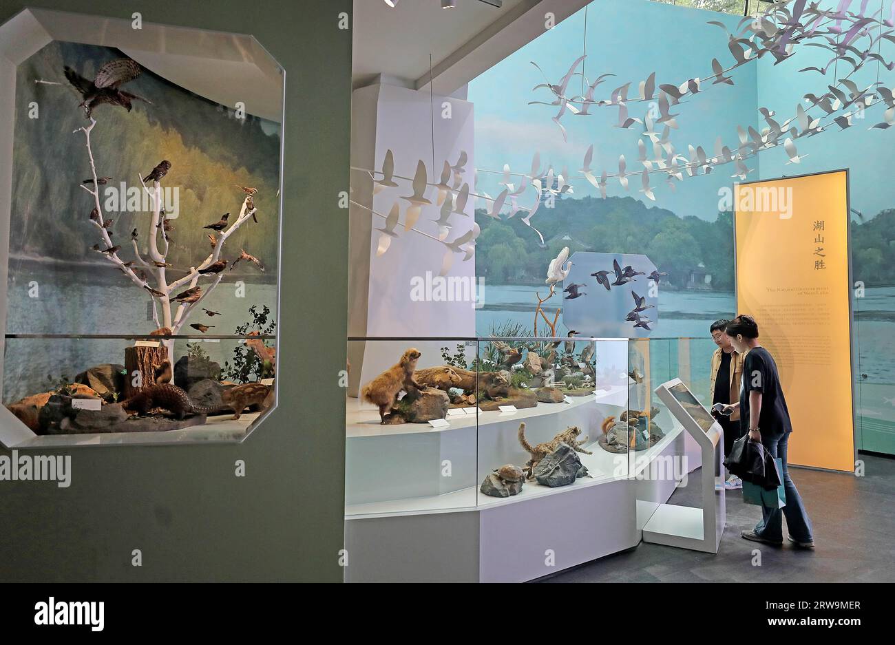 The West Lake Museum reopens in Hangzhou City, east China's Zhejiang ...