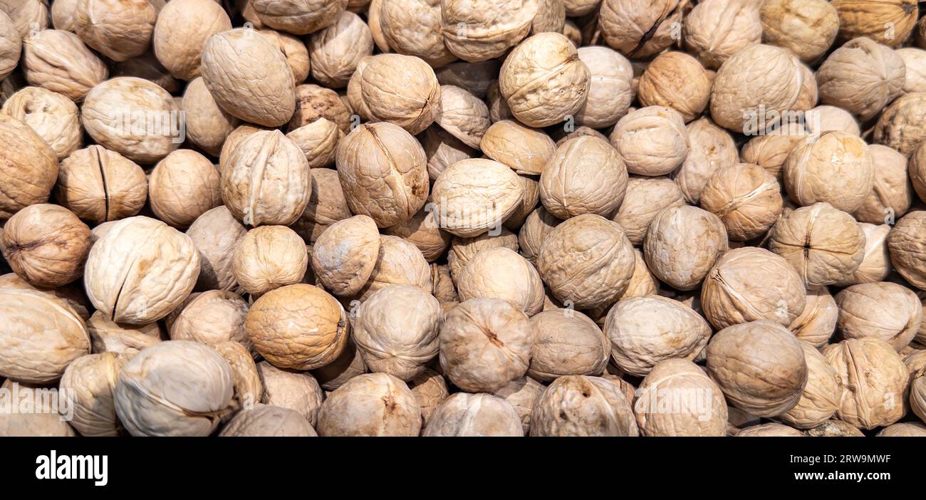 Walnuts background. Christmas background full of ripe walnuts Stock ...