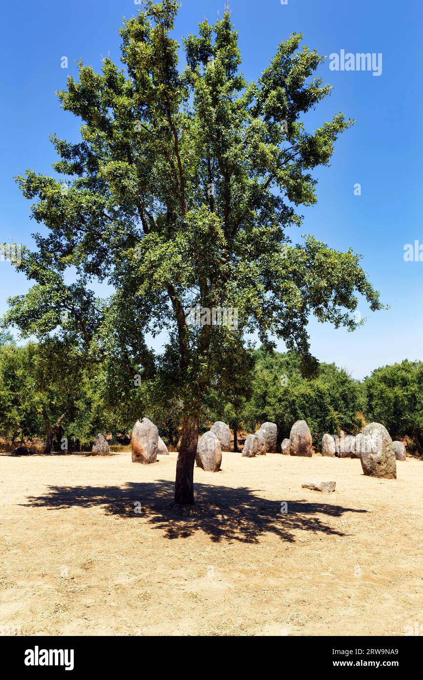 Almendres Cromlech, Stone Age stone circle, megalithic site, Nossa ...