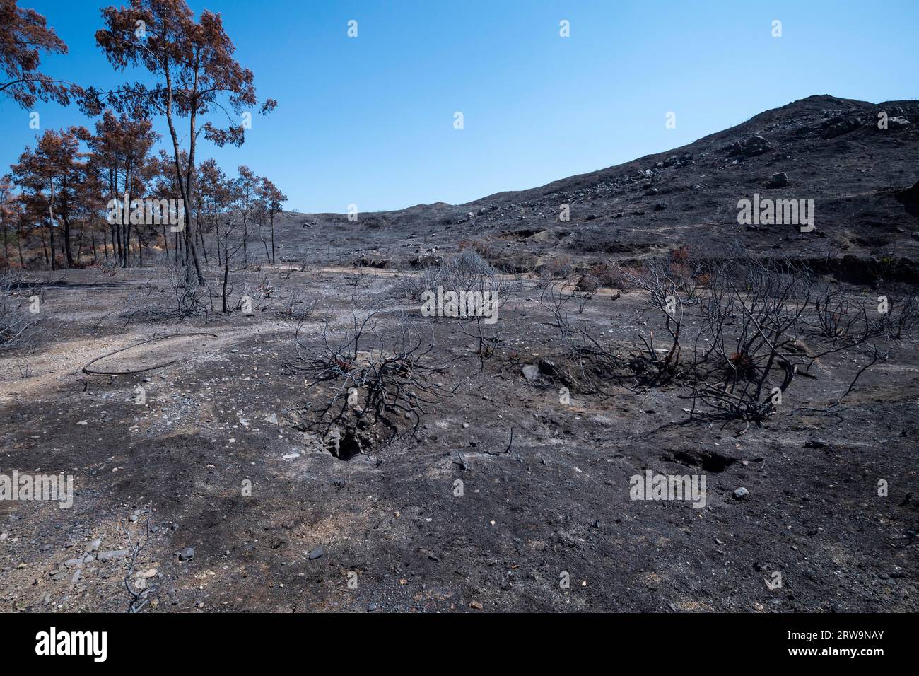 Banished land, trees, shrubs, fire, forest fire 2023 Mountain village ...