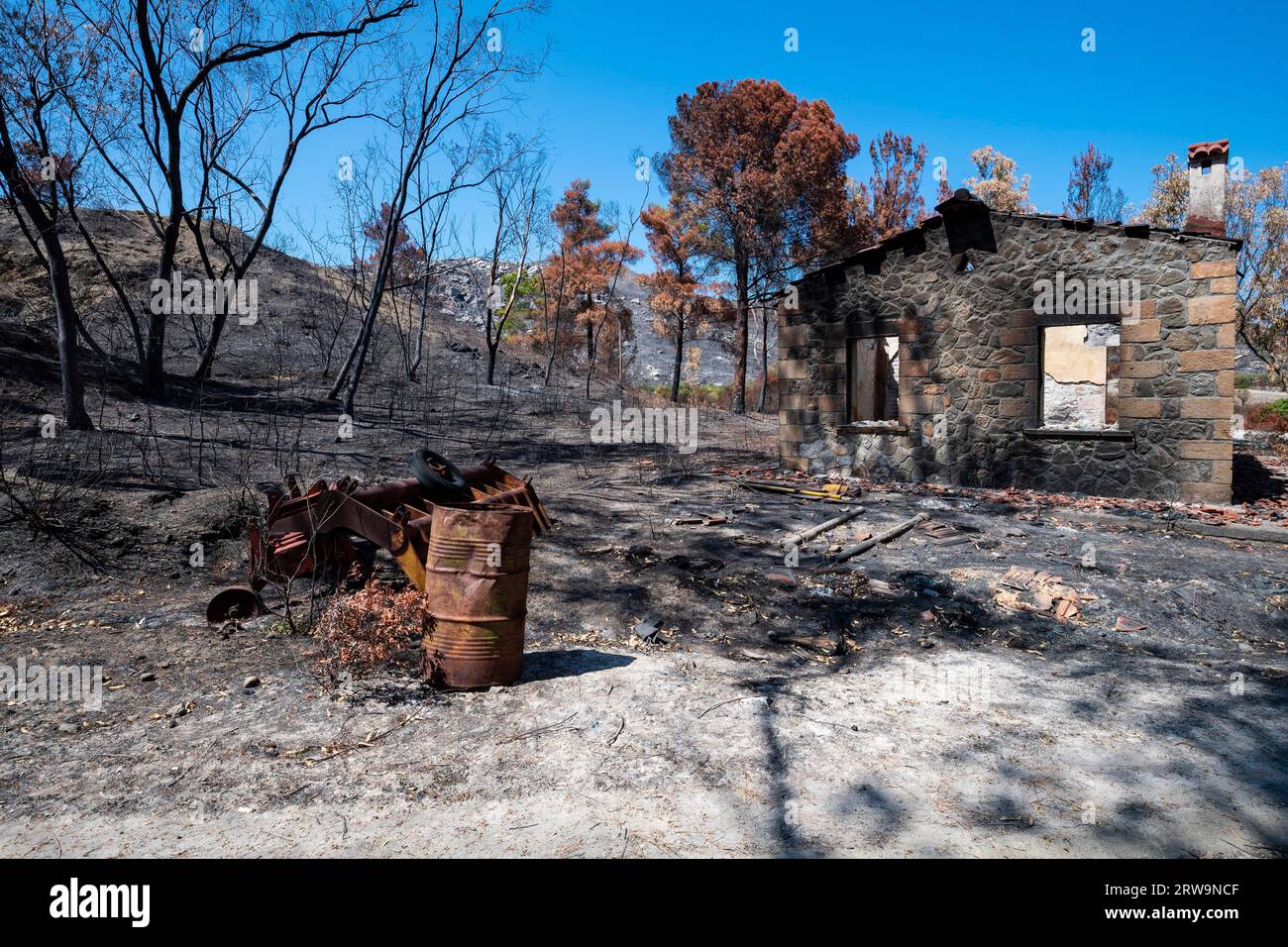 Banished land, trees, bushes, house, farmhouse, fire, forest fire 2023 ...