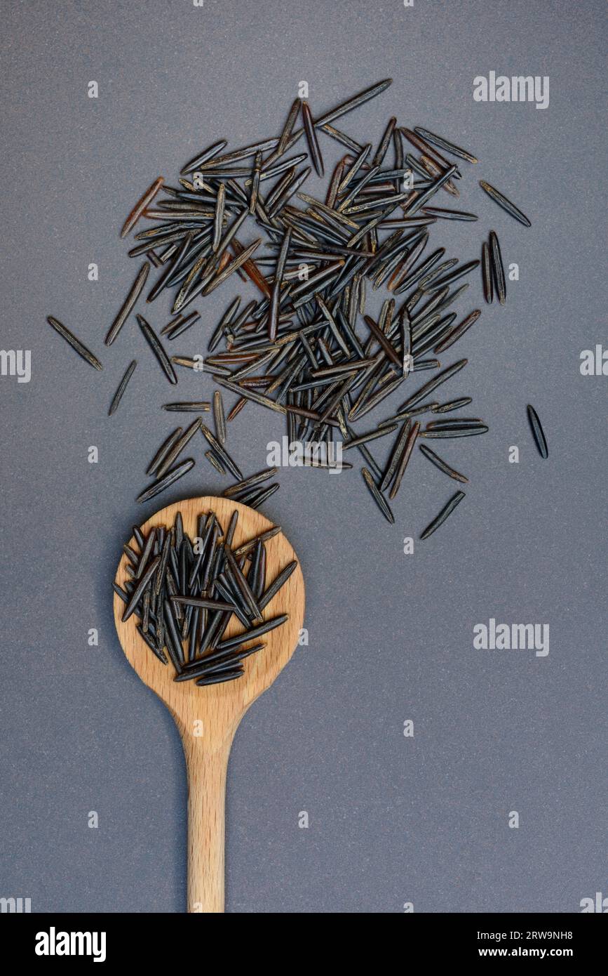 Rice, black wild rice in cooking spoon, Canada Stock Photo - Alamy