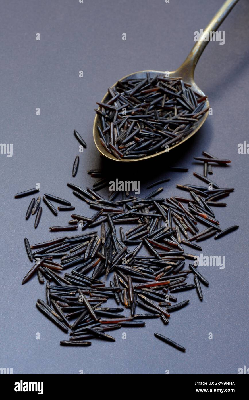 Canadian wild rice hi-res stock photography and images - Alamy