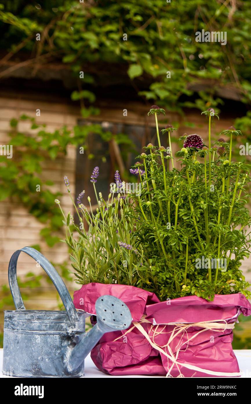 Decorative garden objects hi-res stock photography and images - Alamy