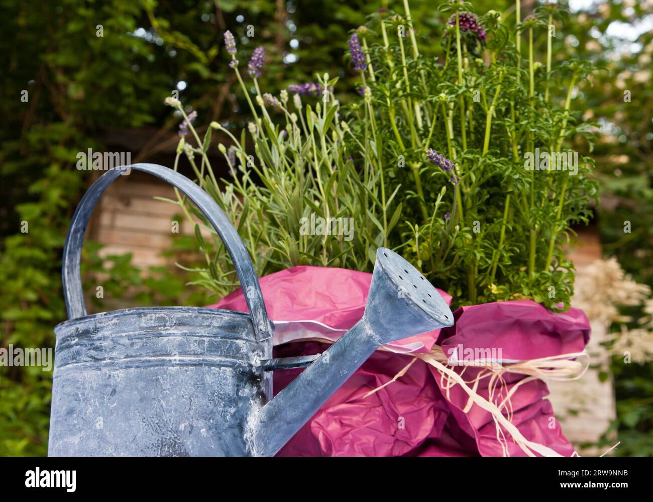 Decorative garden objects hi-res stock photography and images - Alamy