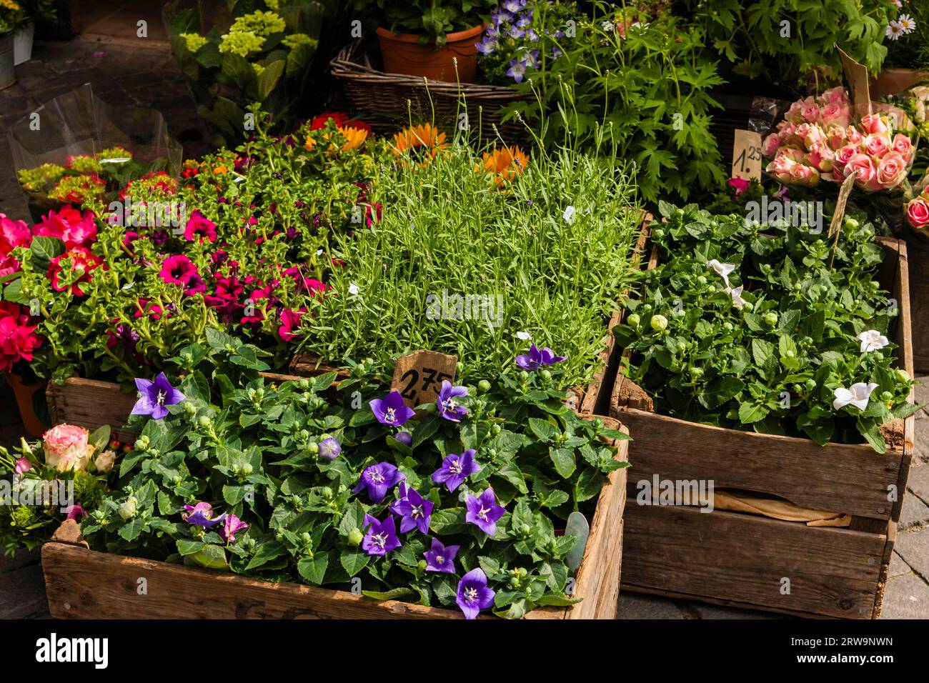 Flower shop exterior hi-res stock photography and images - Alamy