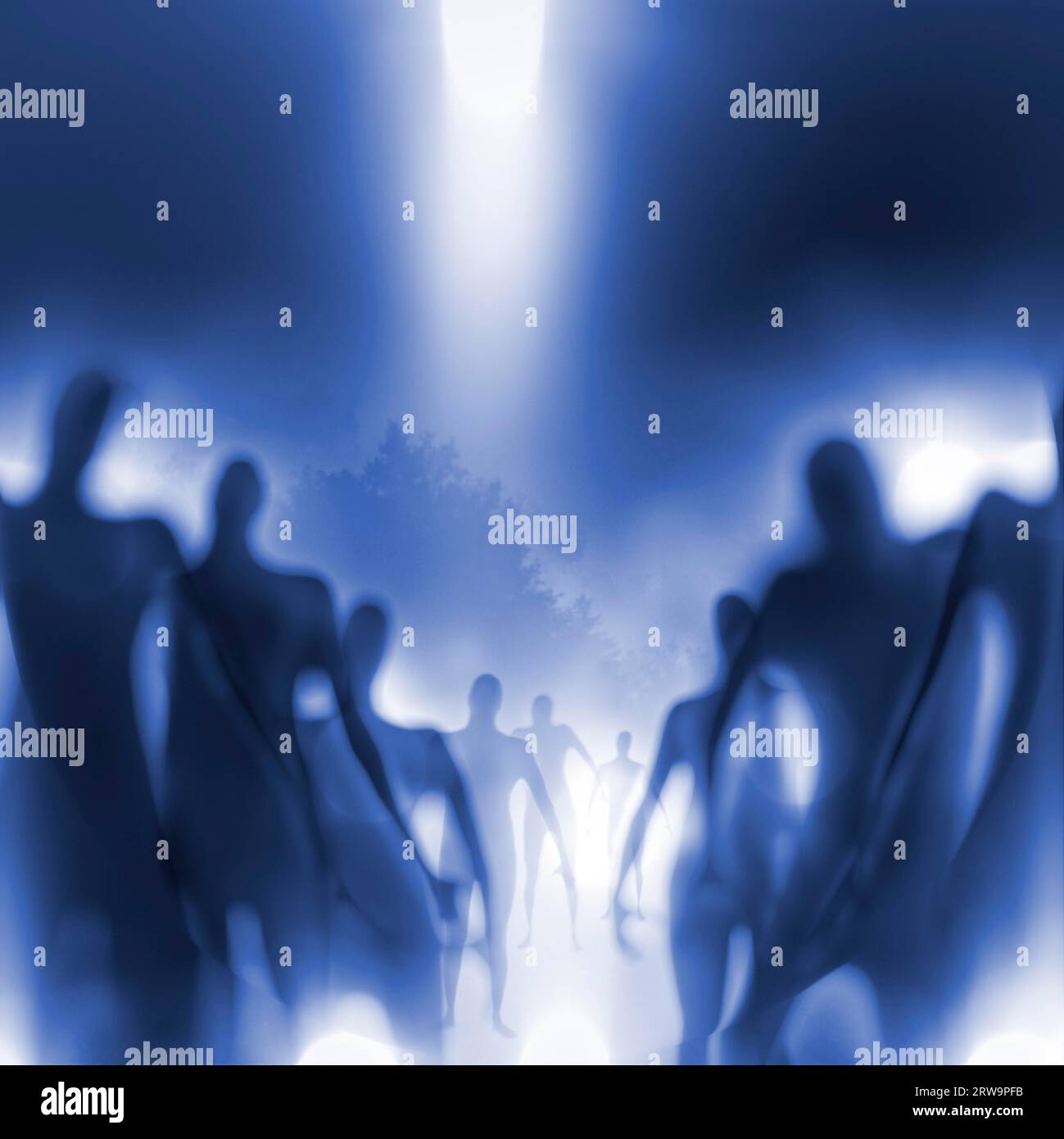 Human disturbance hi-res stock photography and images - Alamy