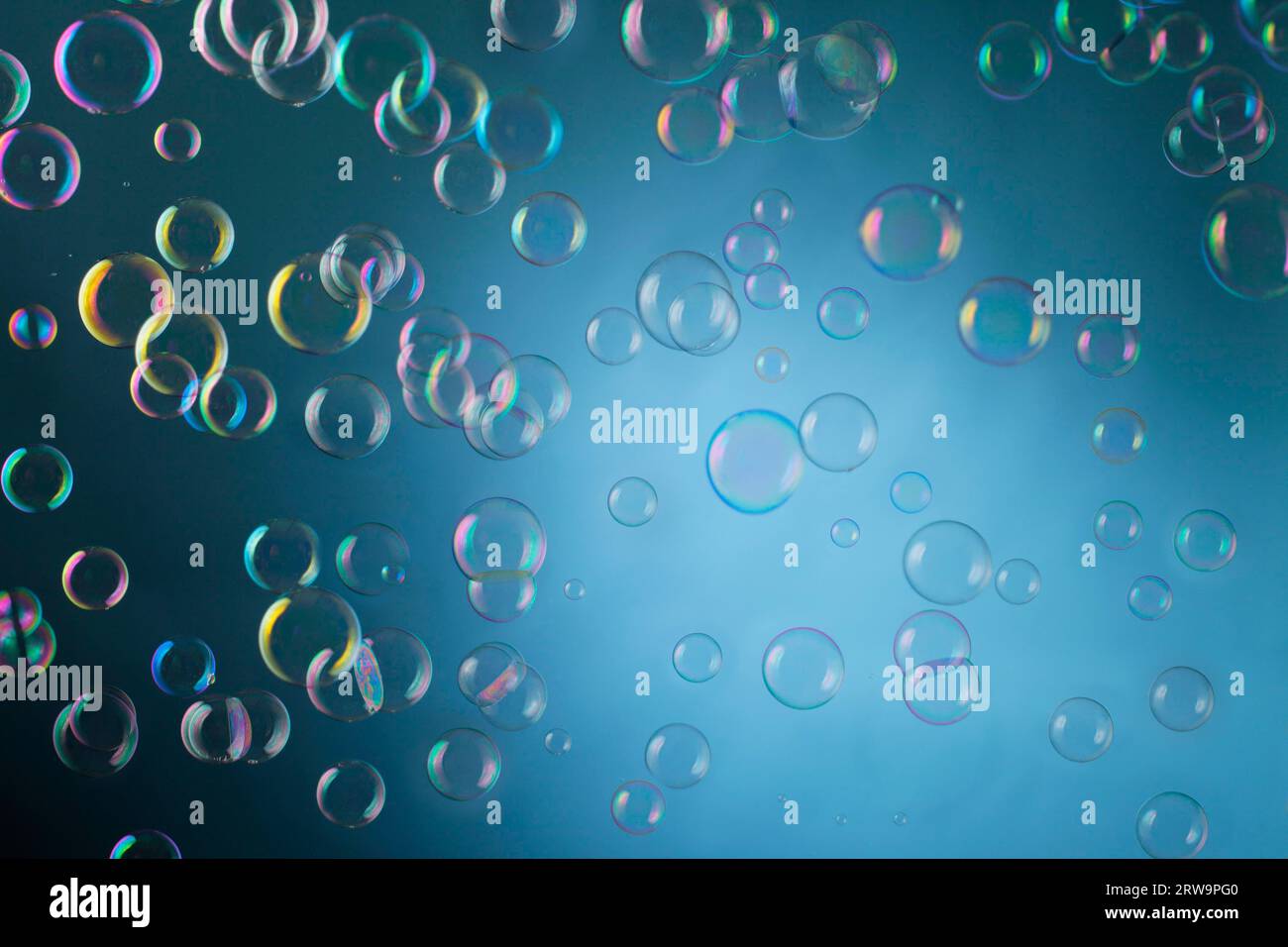 Real soap bubbles floating mid-air over blue background Stock Photo - Alamy