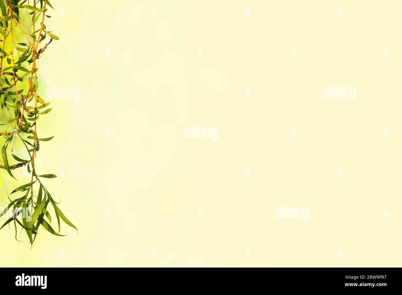 Left margin hi-res stock photography and images - Alamy