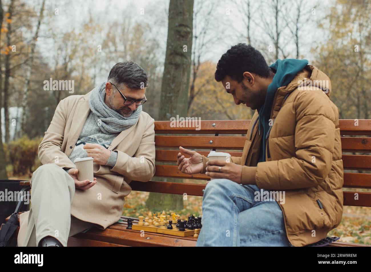 Friends play chess on a bench in an autumn park. Multicultural ...
